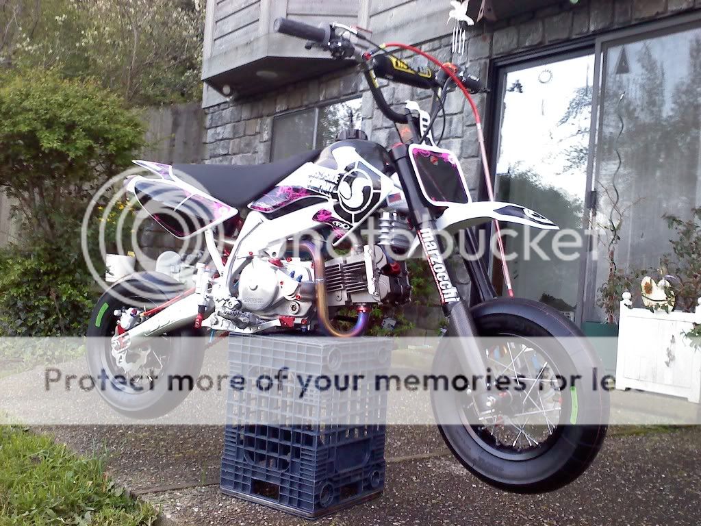 Fifty Of The Month For June 2011 | PlanetMinis Forums