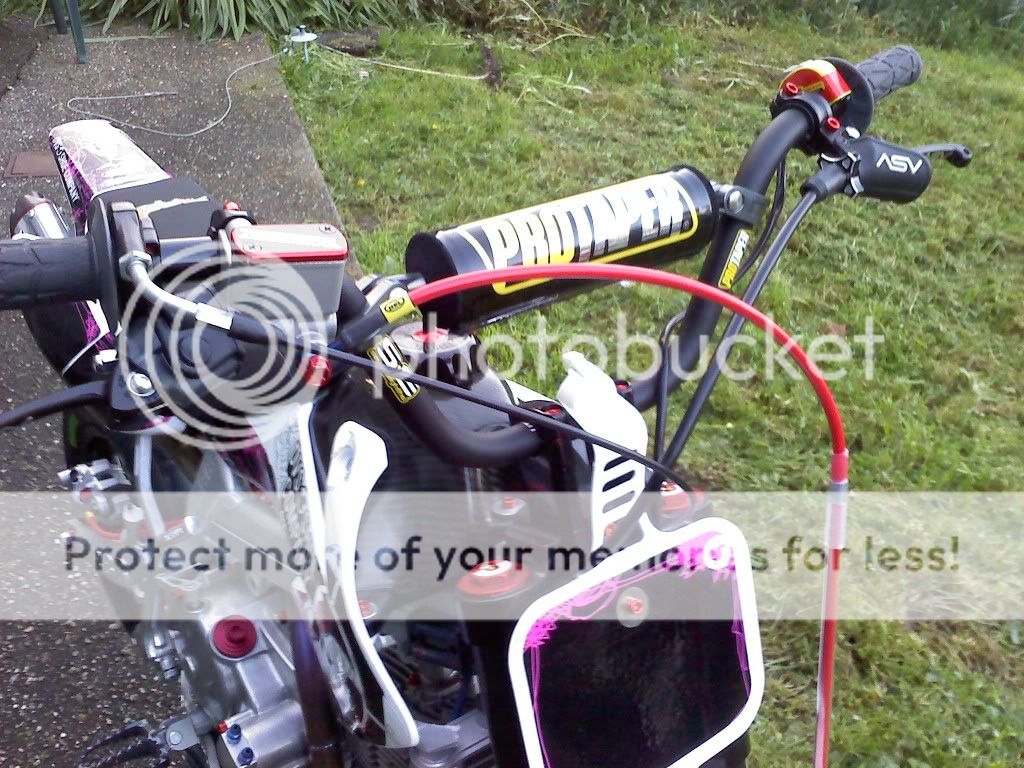 Fifty Of The Month For June 2011 | PlanetMinis Forums