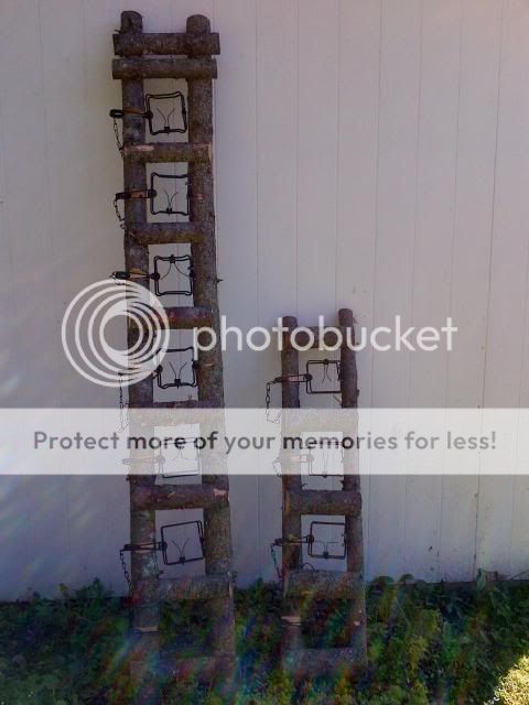 Canadian Trappers Talk Forum • View topic - Floating Muskrat Colony traps