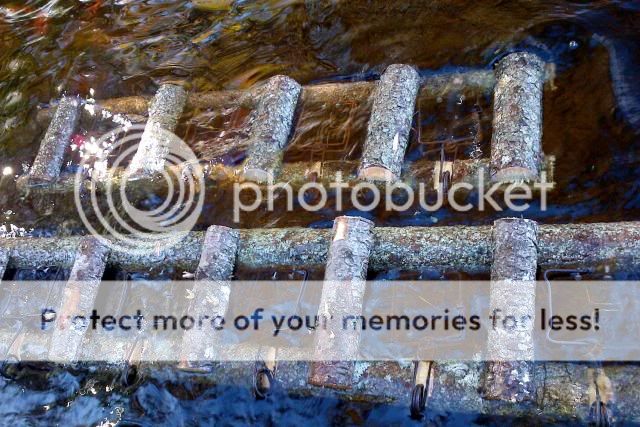 Canadian Trappers Talk Forum • View topic - Floating Muskrat Colony traps