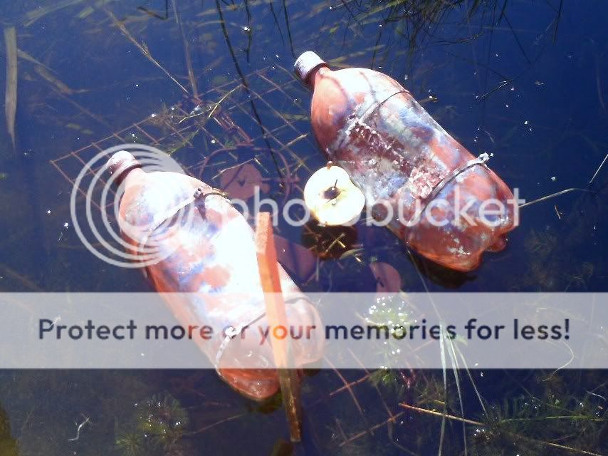 Canadian Trappers Talk Forum • View topic - Floating Muskrat Colony traps