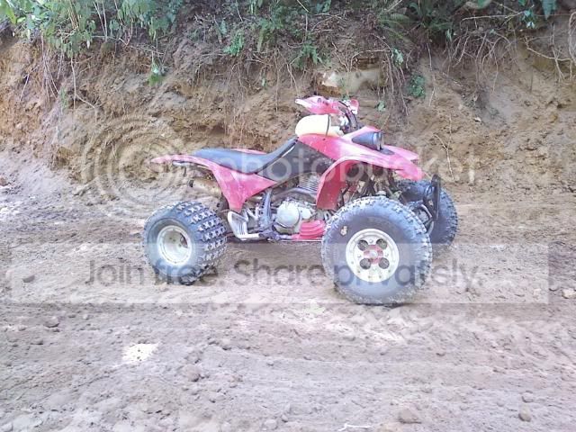 Show your XC/Trail 400ex - Page 2