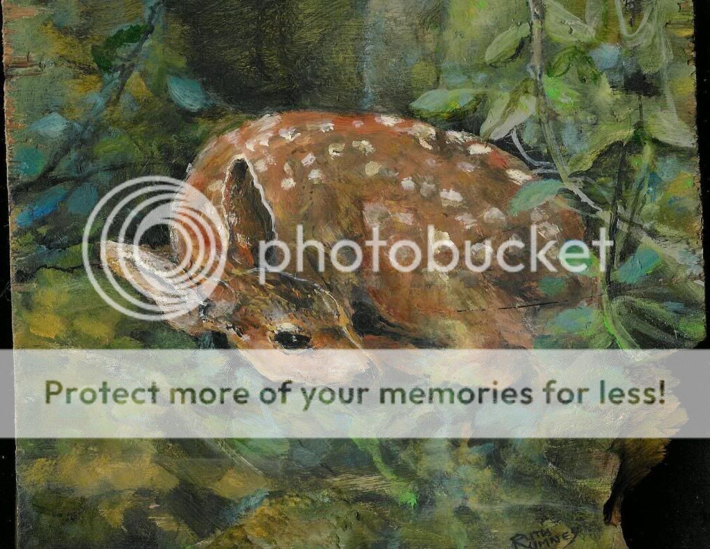 NEW LISTING-Ruth Rumney Barnwood SLEEPING FAWN | The Adirondack and ...